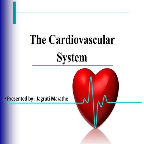 Anatomy Of Cardiovascular System Ppt