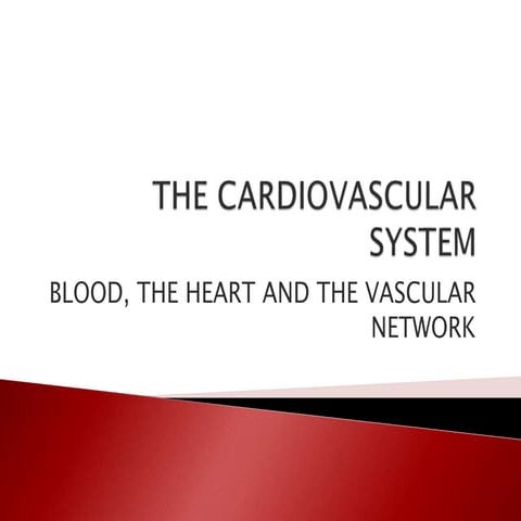 Power point the cardiovascular system - anatomy and physiology | PPTX