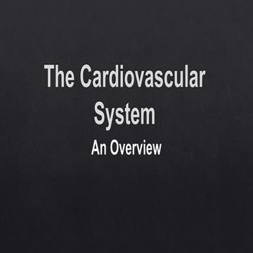 The Cardiovascular System - An Overview | PPTX