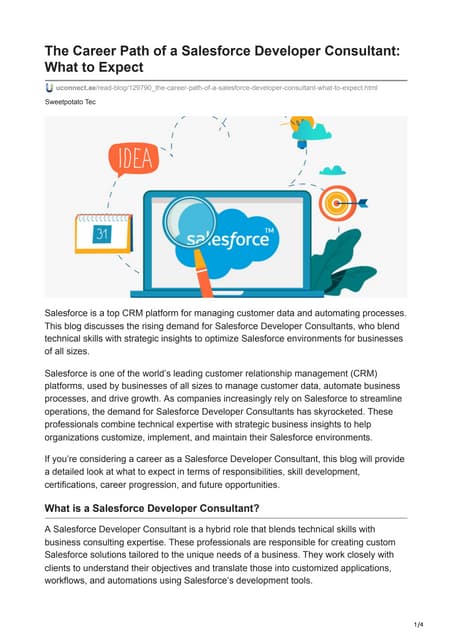 How To Become A Salesforce Developer Pptx