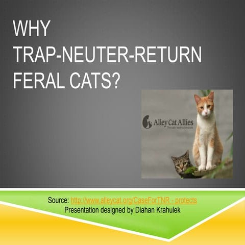 The Case for TNR | PPTX