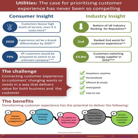 The case for transforming customer experience utilities | PDF