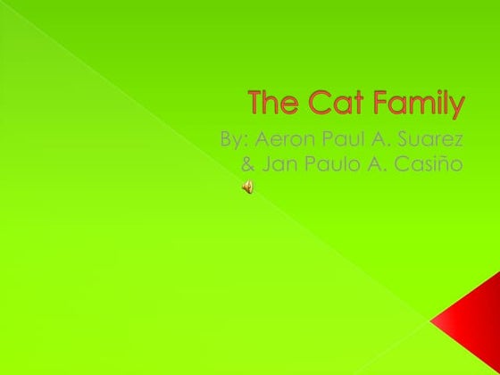 Cats Powerpoint | PPTX