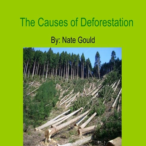 The Causes Of Deforestation | PPT | Agriculture | Industries