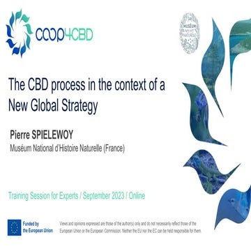 The CBD process in the context of a new global strategy | PPT