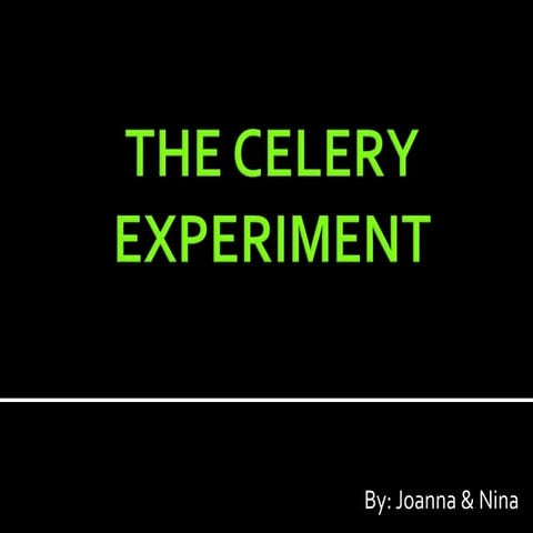 The celery experiment.html (1) | PPTX