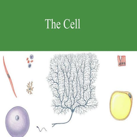 The Cell | PPT
