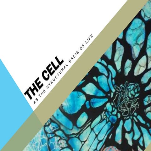 The cell | PPT