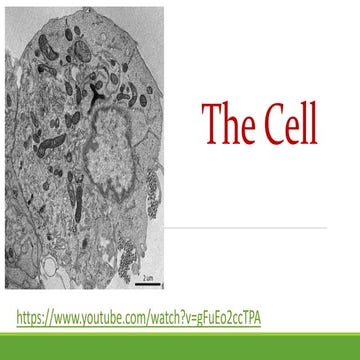 The cell | PPTX