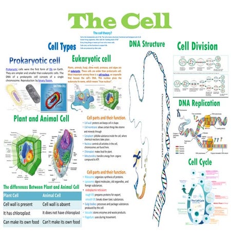simple introduction to The cell/poster. | PPT
