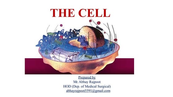 Systems of human body | PPT