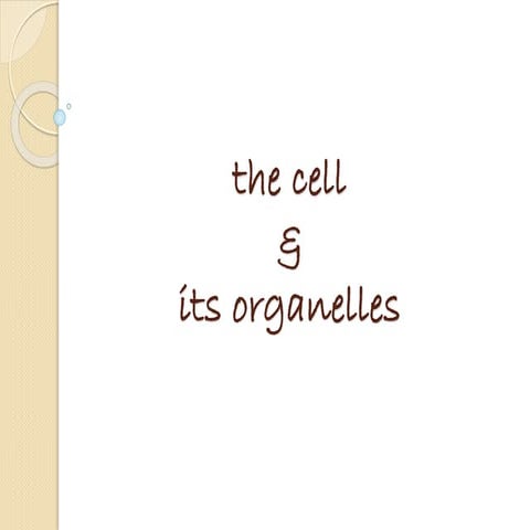 The Cell..pdf