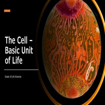 The Cell – Basic Unit of Life.pdf