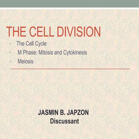 The cell cycle | PPT