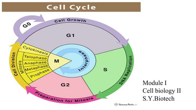 Cell cycle regulation ppt | PPTX