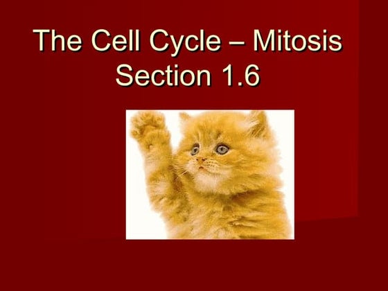 Class 11th Ncert Cbse Neet BIOLOGY CELL CYCLE AND CELL DIVISION.pdf