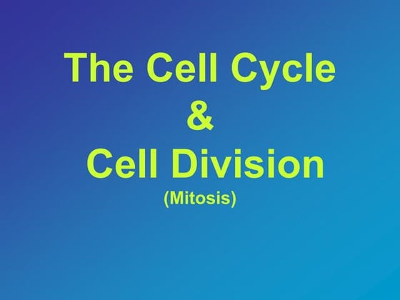 Mitosis Lesson 2 | PPT