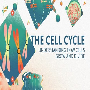 The Cell Cycle Interactive Presentation in Green and Orange Textured ...