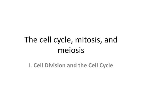 MITOSIS: LIFE SCIENCES FOR GRADE 10`S | PPTX | Biological Sciences ...