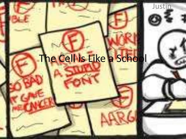 Cell Analogy Example | PPTX