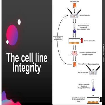The cell line integrity | PPT