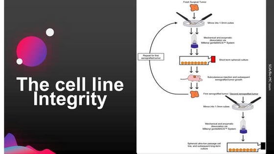 Methods to Generate Stable Cell Lines.pptx