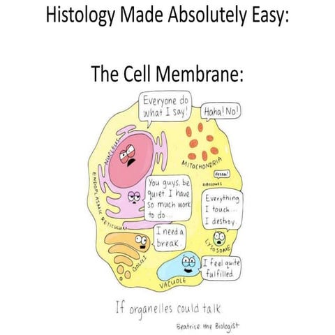 Histology Made Easy: The cell membrane; Semi permeable membrane; fluid ...