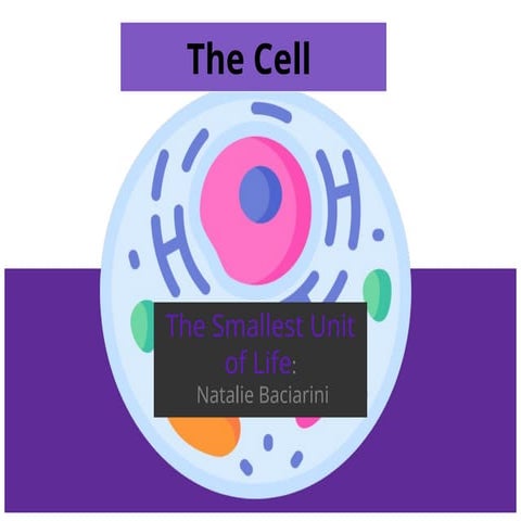 The+Cell+theory+student+version.pptNBBBB.pptx