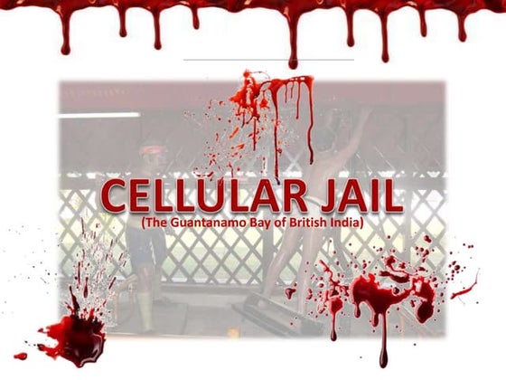 Oceanarium Reimagined Activity Teacher's Sheet With Key | PDF