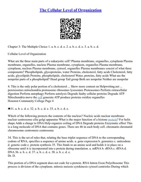 Metabolic Compartments In The Leaf.pptx_ | PPT