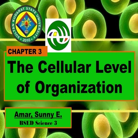 tTHE CELLULAR LEVEL OF ORGANIZATION.pptx