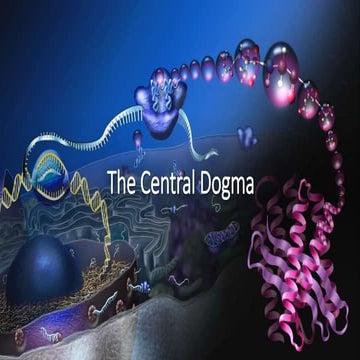 The Central Dogma.pptx