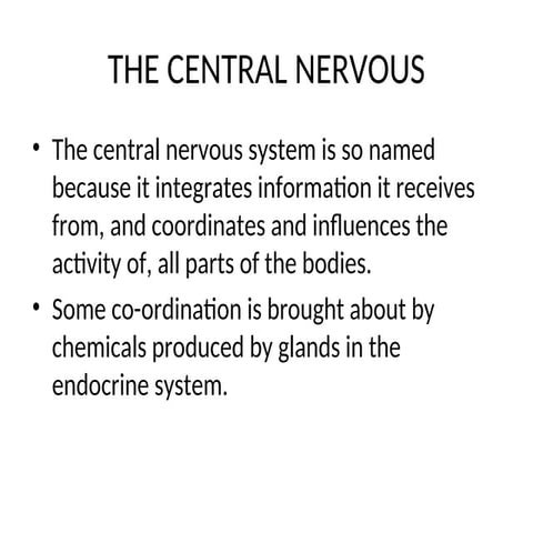 THE CENTRAL NERVOUS system in science curriculum | PPT