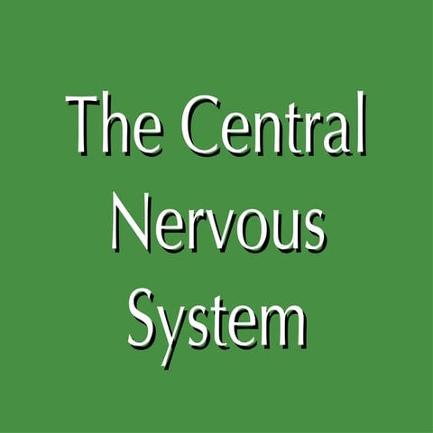 The central nervous system | PPT