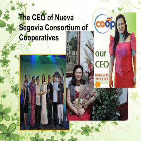The CEO of Nueva Segovia Consortium of Cooperative | PPT