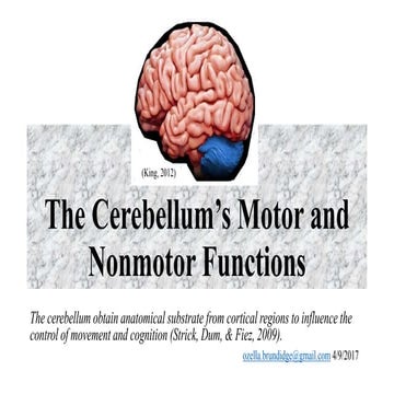 The cerebellum’s motor and nonmotor functions | PPTX