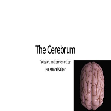 The Cerebrum.pptx by sir waqar ahmed of brain | PPT