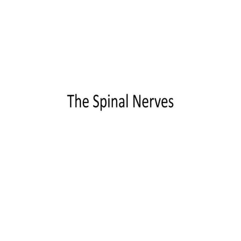 The cervical plexus | PPTX