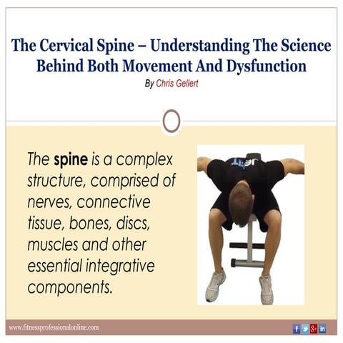 The cervical spine – understanding the science behind both movement and ...