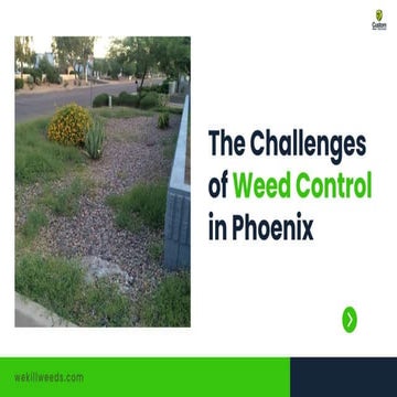 The Challenges of Weed Control in Phoenix | PPT