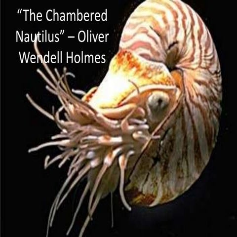 The Chambered Nautilus | PPT