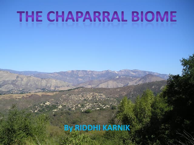 Chaparral biome | PPTX
