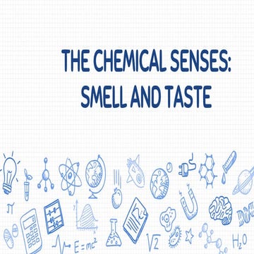 The chemical senses smell and taste | PPT