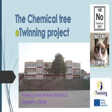 The chemical tree2 | PDF | Chemistry | Science