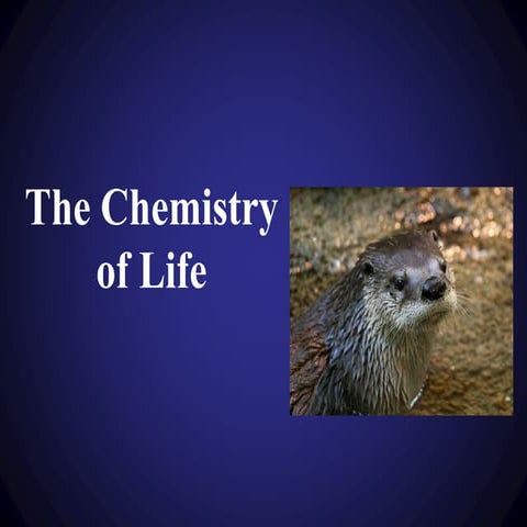 3. biological macromolecules, bio 101 | PPTX