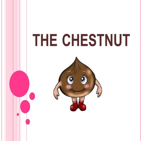 The chestnut | PPTX