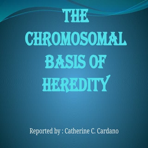 the_chromosonal_basis_of_heredity for ed | PPT