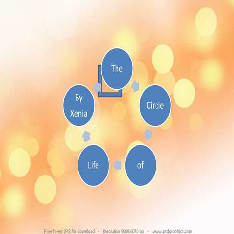 The circle of life | PPTX