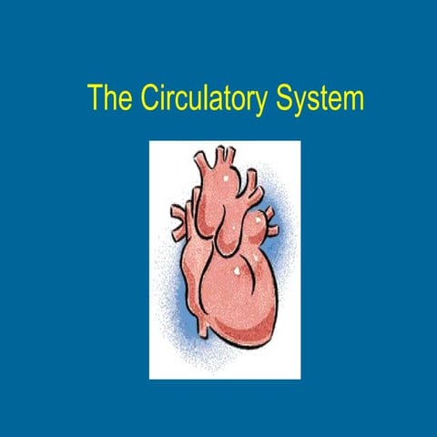 The circulatory system | PPT
