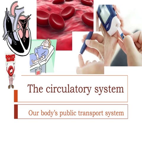 The circulatory system | PPTX | Heart and Cardiovascular Diseases ...